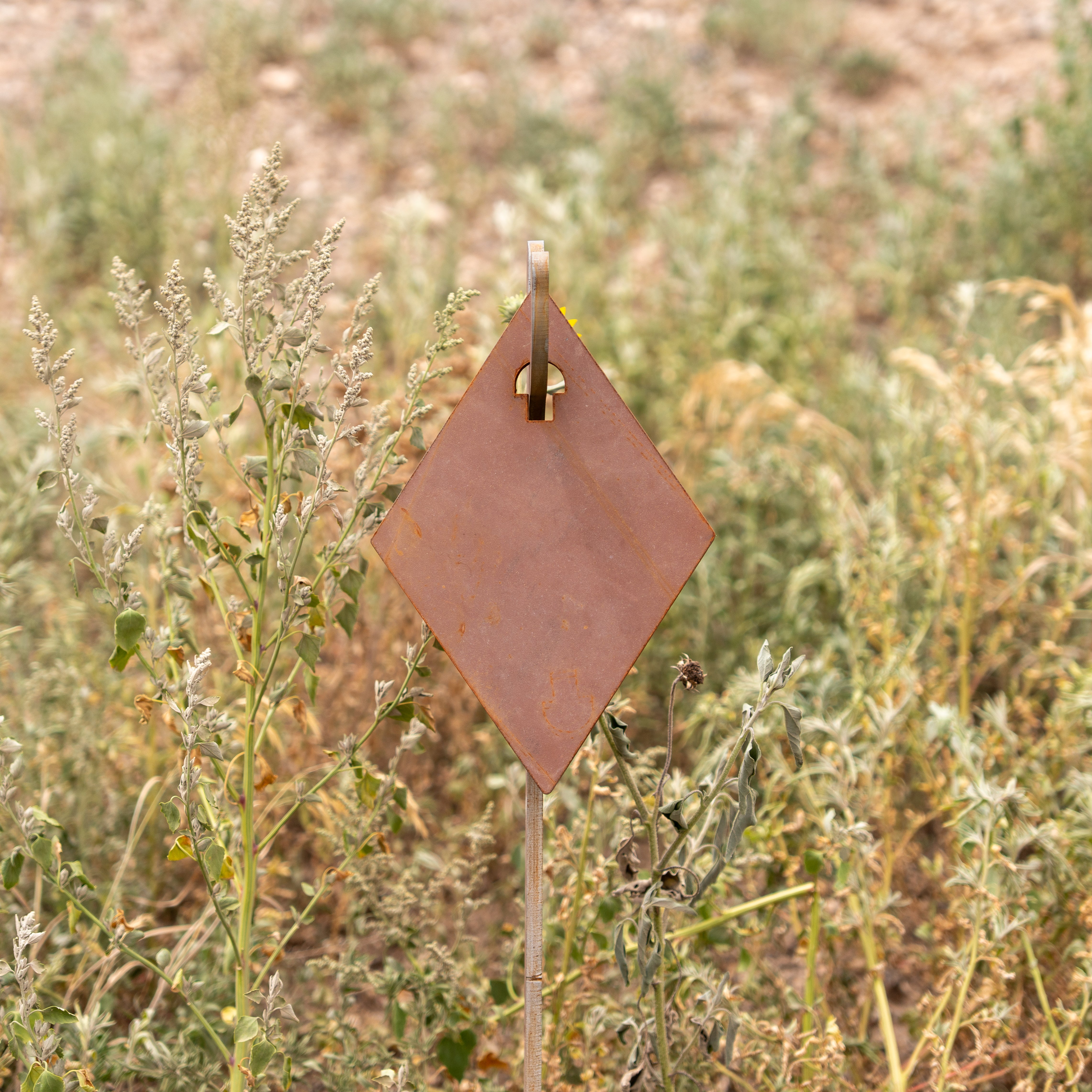 3/8″ AR500 Static Steel Target – 12" x 8" Diamond – Topo Motorsports